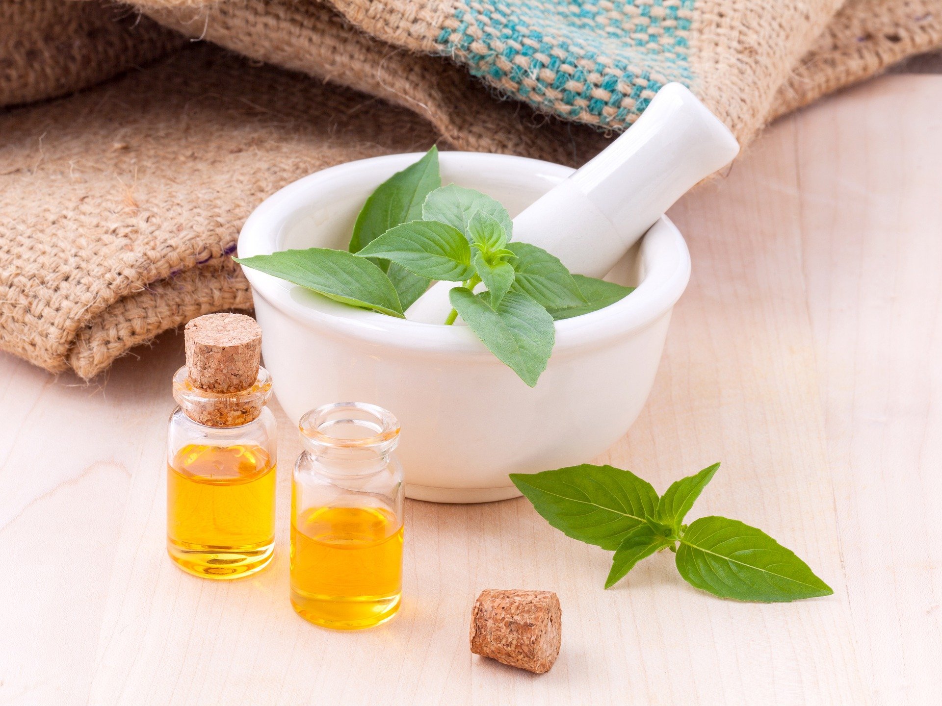 5 Jenis Tanaman Obat Keluarga untuk di Rumah & Khasiatnya - Lamudi