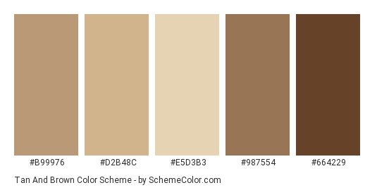 11 Inspirasi Cat Warna Beige untuk Interior Rumah Tahun 2024 - Lamudi