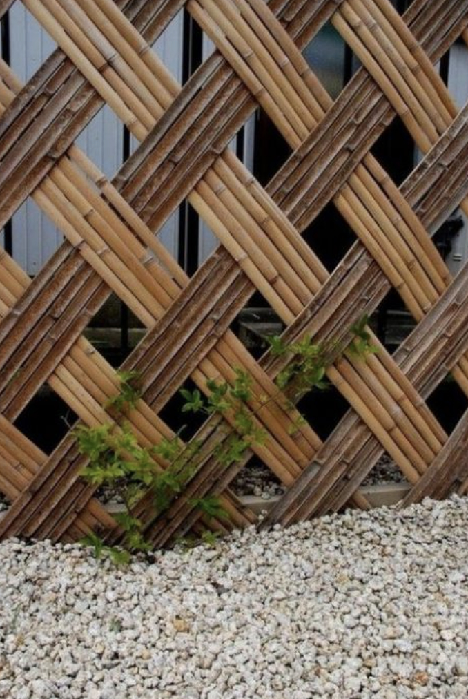 7 Contoh Pagar Bambu, Simple Namun Modern - Lamudi