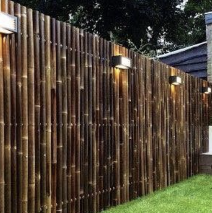 7 Contoh Pagar Bambu, Simple Namun Modern - Lamudi